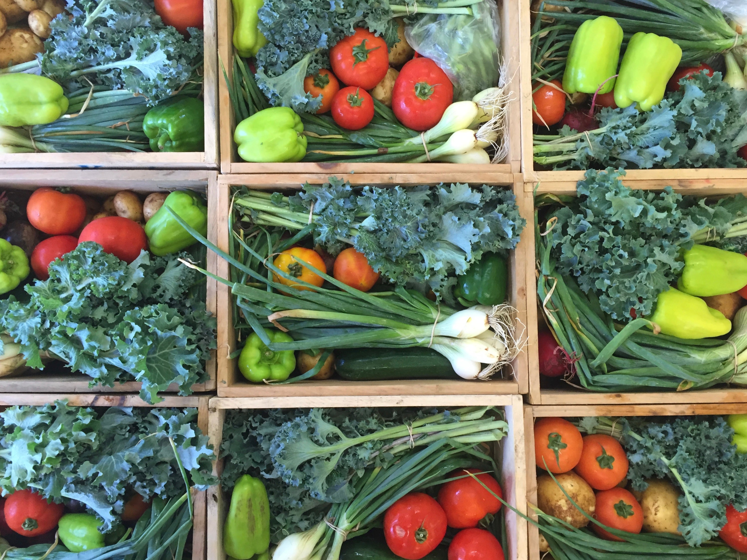Farm Shares – Farmer Kev's Organic